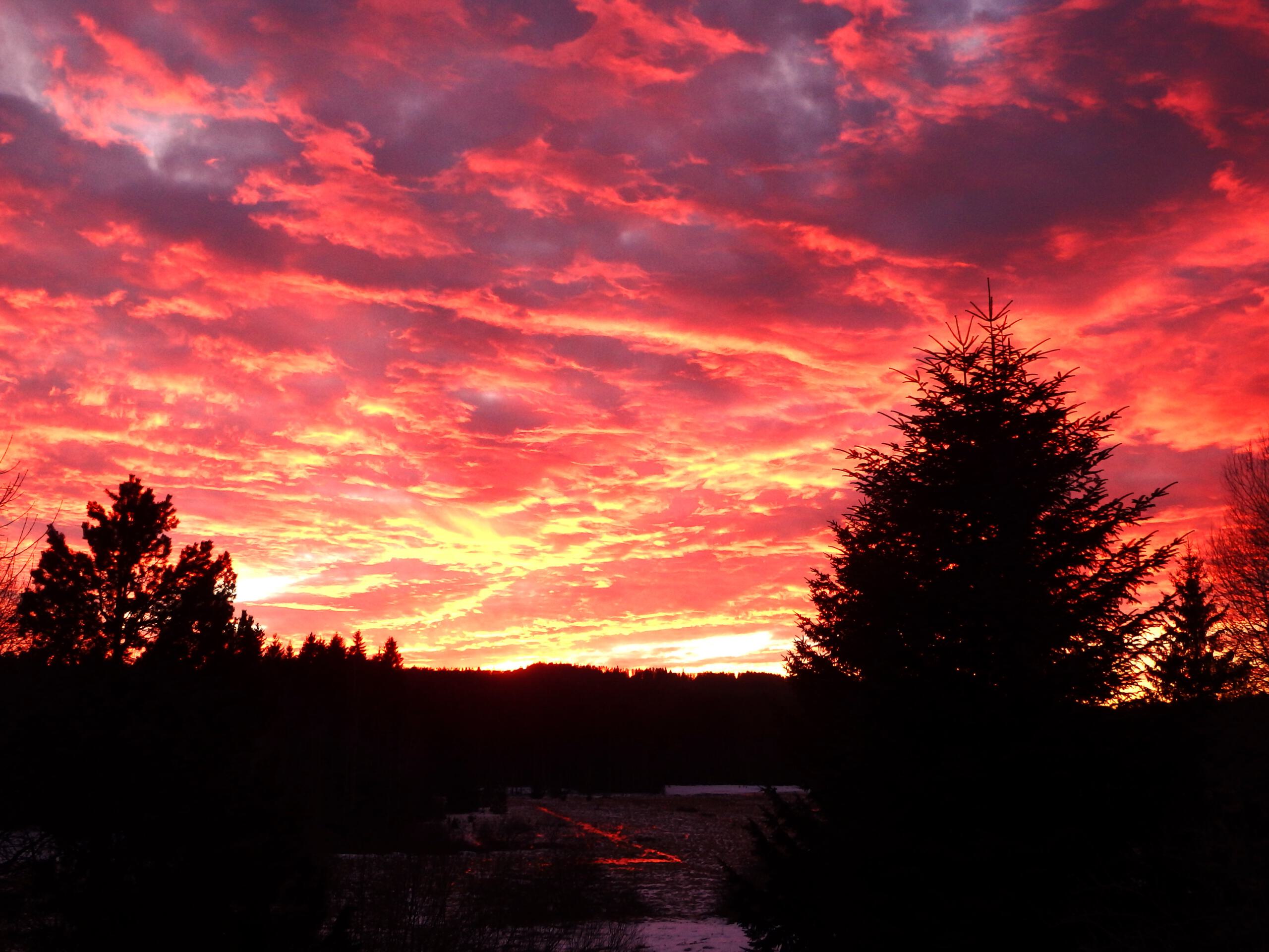 Die Kraft des Rückzugs • Naikan